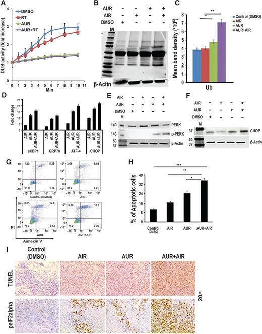 Auranofin Protects Intestine against Radiation Injury by Modulating p53 ...