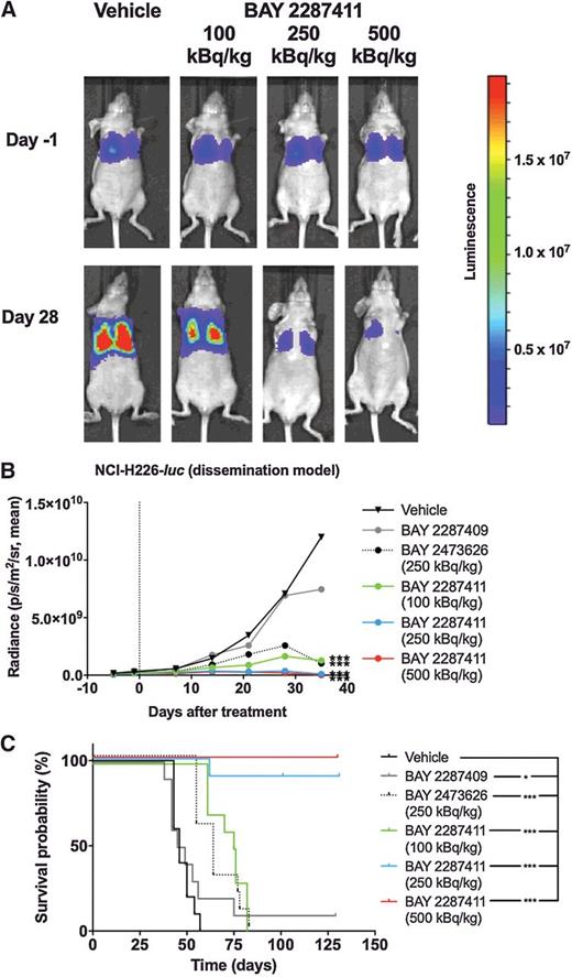 Mesothelin-Targeted Thorium-227 Conjugate (MSLN-TTC): Preclinical ...