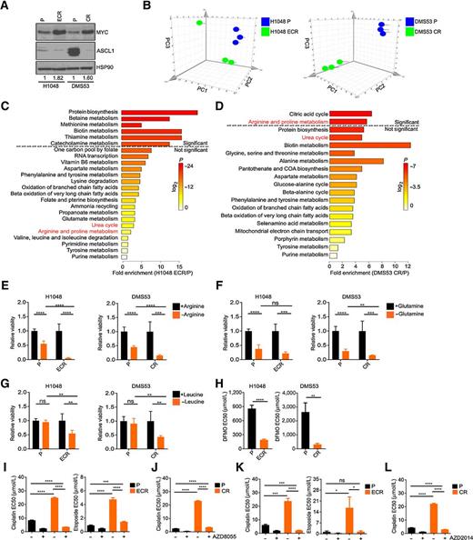 MYC-Driven Small-Cell Lung Cancer is Metabolically Distinct and ...