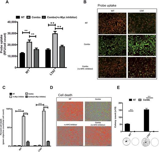 Arginine Starvation and Docetaxel Induce c-Myc–Driven hENT1 Surface ...
