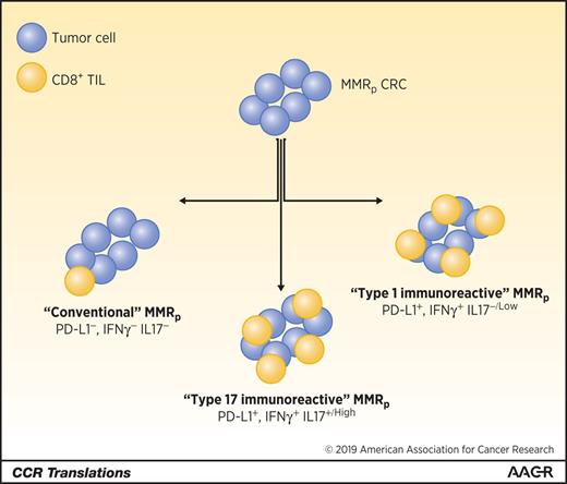 Mismatch Repair–Proficient Colorectal Cancer: Finding the Right TiME to ...
