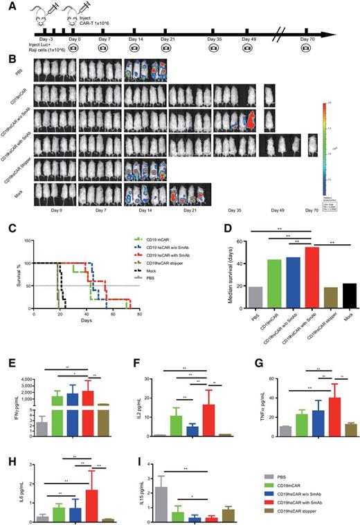 Treatment with Humanized Selective CD19CAR-T Cells Shows Efficacy in ...