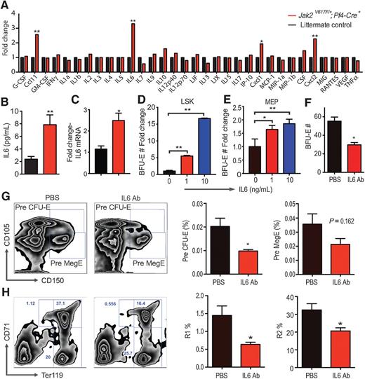 Activation of JAK/STAT Signaling in Megakaryocytes Sustains ...