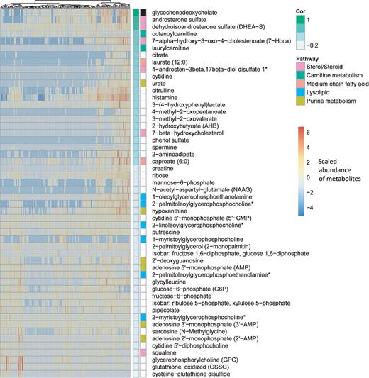 Liver- and Microbiome-derived Bile Acids Accumulate in Human Breast ...