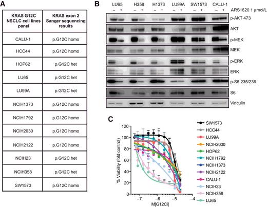 KRAS G12C NSCLC Models Are Sensitive to Direct Targeting of KRAS in ...