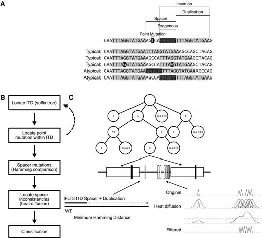 Classes of ITD Predict Outcomes in AML Patients Treated with FLT3 ...