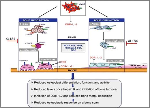 Biomarkers and Bone Imaging Dynamics Associated with Clinical Outcomes ...