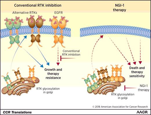 No Sugar Added: A New Strategy to Inhibit Glioblastoma Receptor ...