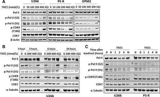The Covalent CDK7 Inhibitor THZ1 Potently Induces Apoptosis in Multiple ...