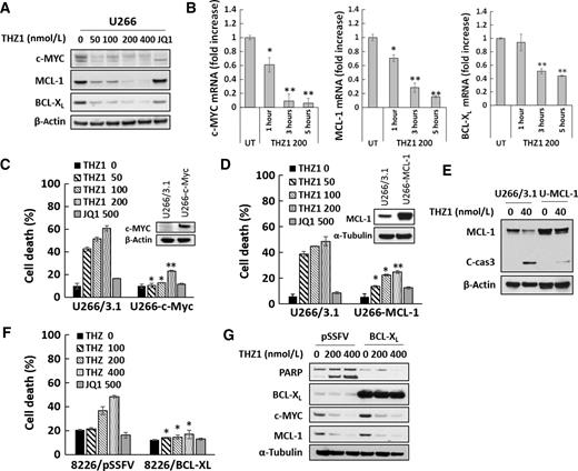 The Covalent CDK7 Inhibitor THZ1 Potently Induces Apoptosis in Multiple ...