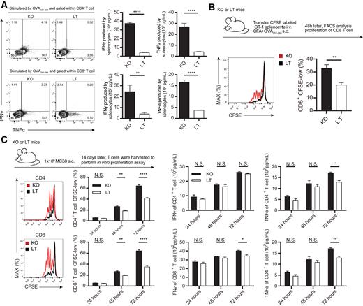 Pik3ip1 Is a Negative Immune Regulator that Inhibits Antitumor T-Cell ...