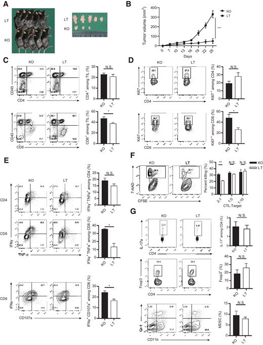 Pik3ip1 Is a Negative Immune Regulator that Inhibits Antitumor T-Cell ...