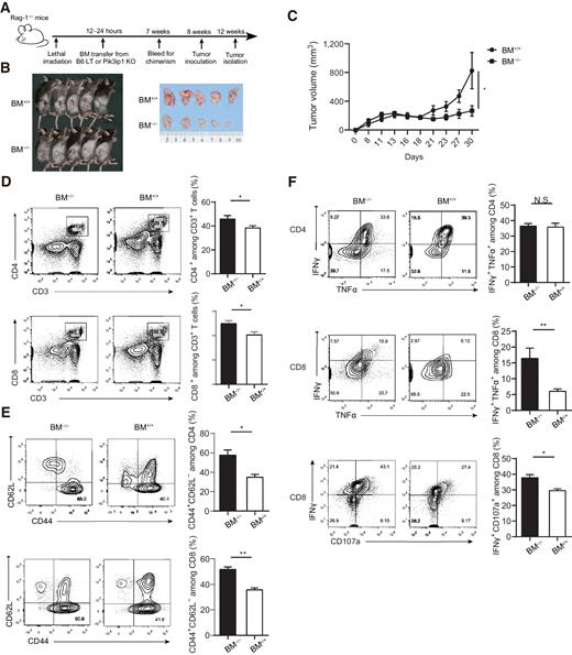 Pik3ip1 Is a Negative Immune Regulator that Inhibits Antitumor T-Cell ...