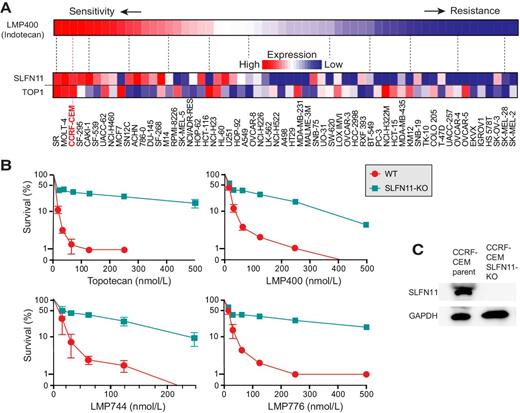 The Indenoisoquinoline TOP1 Inhibitors Selectively Target Homologous Recombination-Deficient and ...