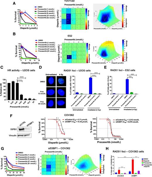 The CHK1 Inhibitor Prexasertib Exhibits Monotherapy Activity in High ...