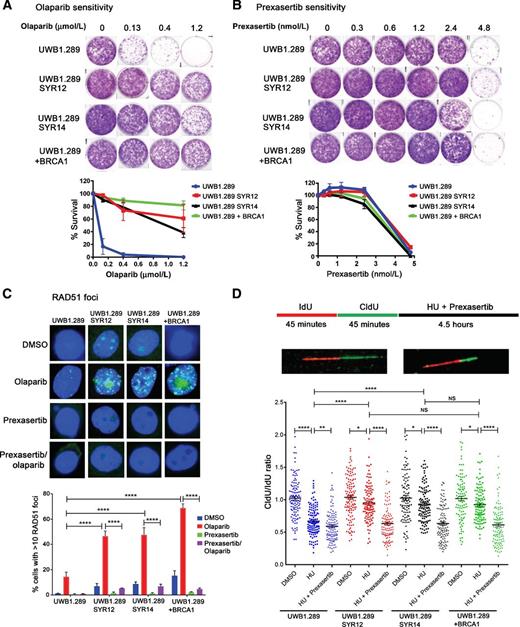 The CHK1 Inhibitor Prexasertib Exhibits Monotherapy Activity in High ...