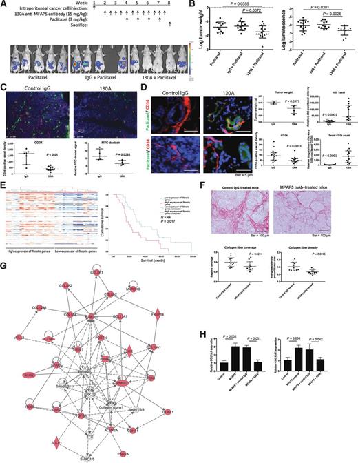 Anticancer Immunotherapy by MFAP5 Blockade Inhibits Fibrosis and ...
