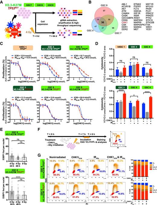 TP53 Pathway Alterations Drive Radioresistance in Diffuse Intrinsic ...