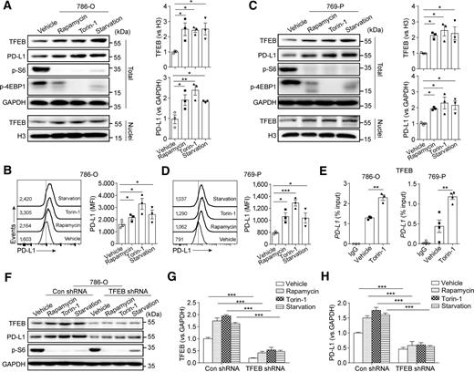 TFEB Mediates Immune Evasion and Resistance to mTOR Inhibition of Renal ...
