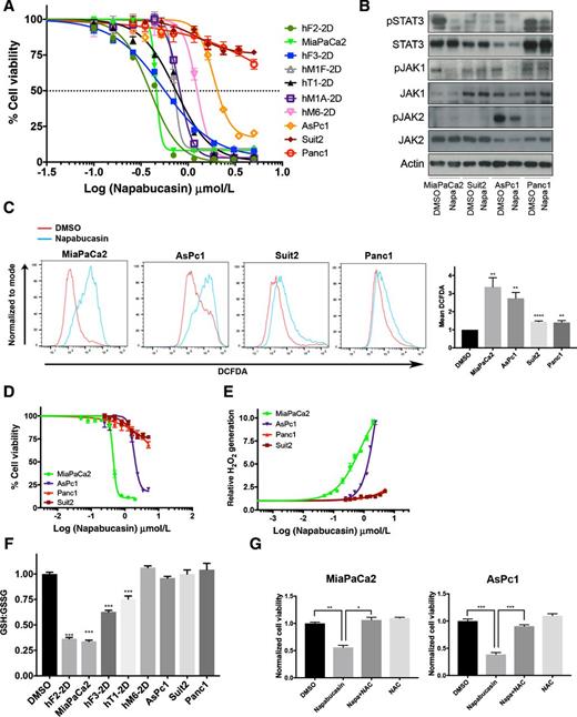 Bioactivation of Napabucasin Triggers Reactive Oxygen Species–Mediated ...