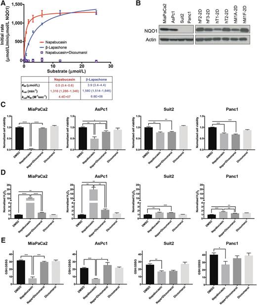 Bioactivation of Napabucasin Triggers Reactive Oxygen Species–Mediated ...