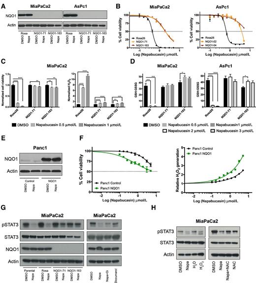 Bioactivation of Napabucasin Triggers Reactive Oxygen Species–Mediated ...