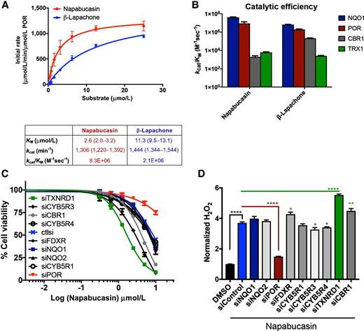 Bioactivation of Napabucasin Triggers Reactive Oxygen Species–Mediated ...