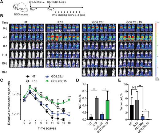 NKT Cells Coexpressing a GD2-Specific Chimeric Antigen Receptor and ...