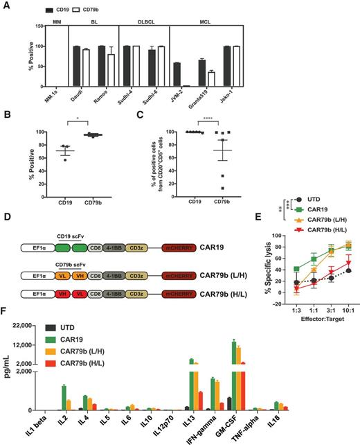 Chimeric Antigen Receptor T Cells Targeting CD79b Show Efficacy in ...