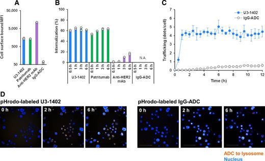 A Novel HER3-Targeting Antibody–Drug Conjugate, U3-1402, Exhibits ...