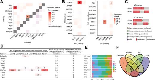 Analysis of Tumor Genomic Pathway Alterations Using Broad-Panel Next ...