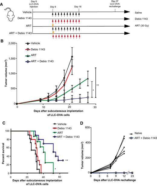 SMAC Mimetic Debio 1143 and Ablative Radiation Therapy Synergize to ...