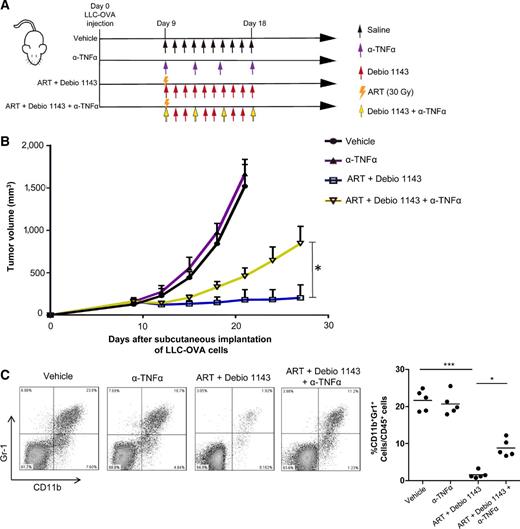 SMAC Mimetic Debio 1143 and Ablative Radiation Therapy Synergize to ...