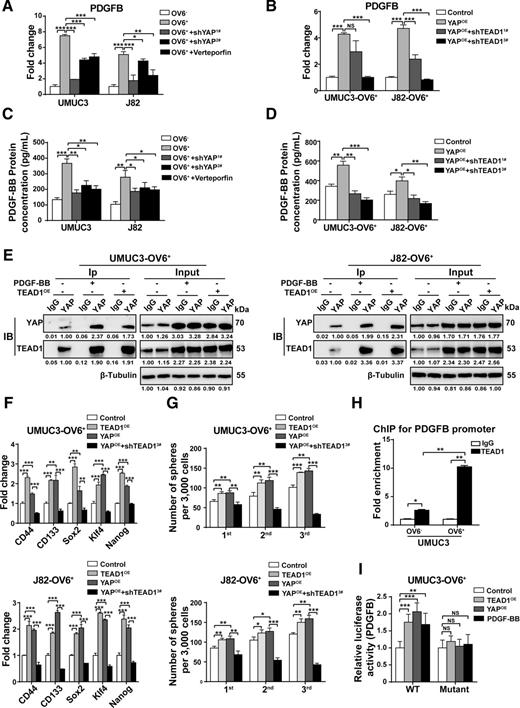 Targeting an Autocrine Regulatory Loop in Cancer Stem-like Cells ...