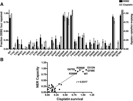 ERCC2 Helicase Domain Mutations Confer Nucleotide Excision Repair ...