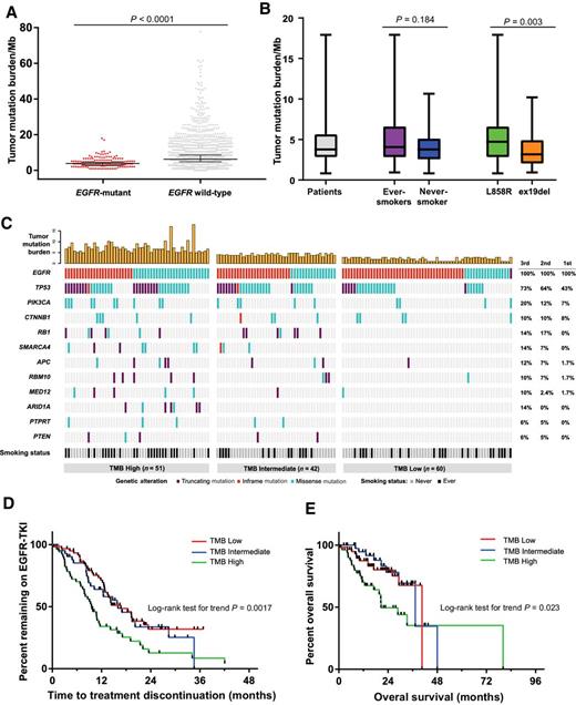 Tumor Mutation Burden and Efficacy of EGFR-Tyrosine Kinase Inhibitors ...