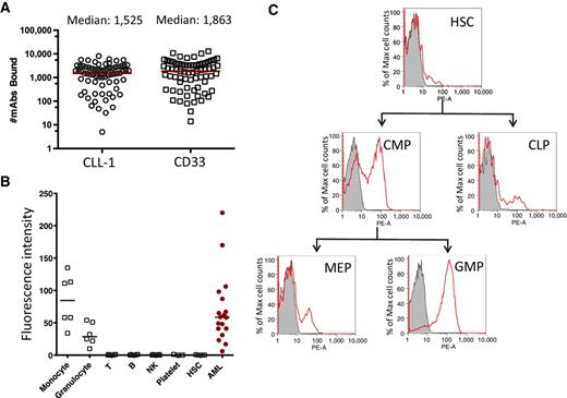 An Anti–CLL-1 Antibody–Drug Conjugate for the Treatment of Acute ...