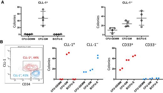An Anti–CLL-1 Antibody–Drug Conjugate for the Treatment of Acute ...