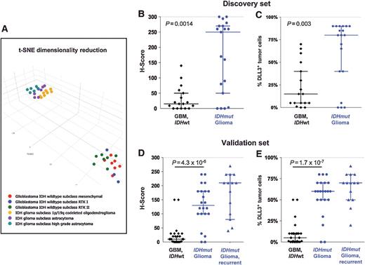 Cell Surface Notch Ligand DLL3 is a Therapeutic Target in Isocitrate ...