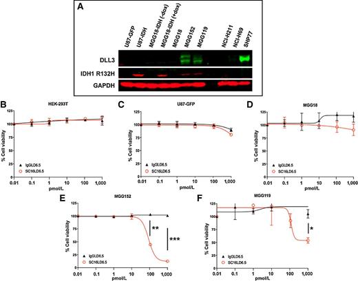 Cell Surface Notch Ligand DLL3 is a Therapeutic Target in Isocitrate ...