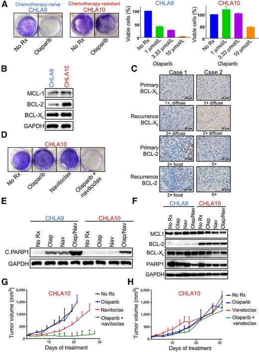 The Ewing Family of Tumors Relies on BCL-2 and BCL-XL to Escape PARP ...