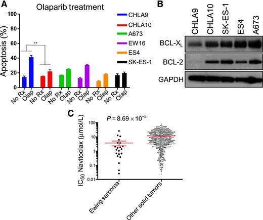 The Ewing Family of Tumors Relies on BCL-2 and BCL-XL to Escape PARP ...