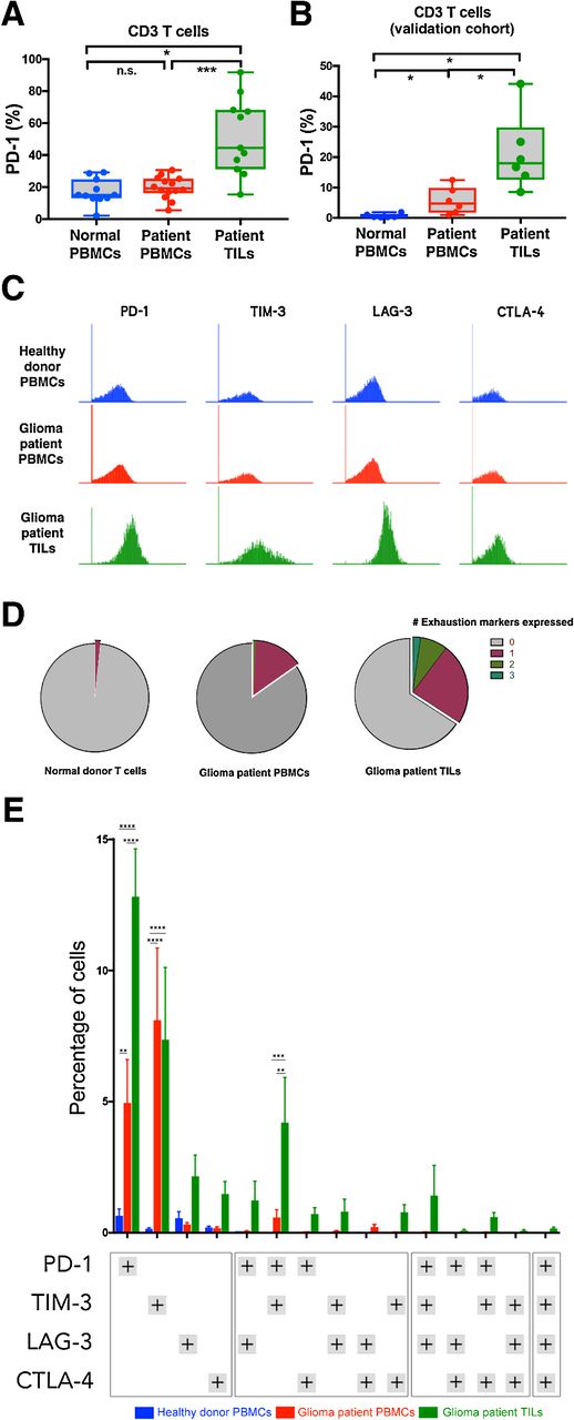 Expression of PD-1 by T Cells in Malignant Glioma Patients Reflects ...