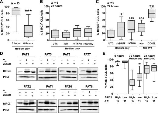 BIRC3 Expression Predicts CLL Progression and Defines Treatment ...
