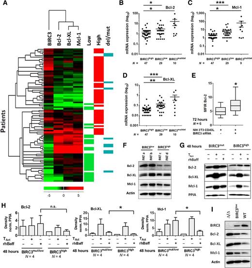 BIRC3 Expression Predicts CLL Progression and Defines Treatment ...