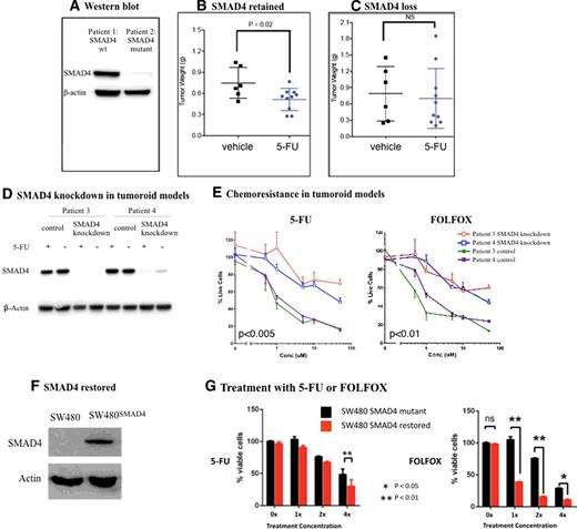 SMAD4 Loss in Colorectal Cancer Patients Correlates with Recurrence ...