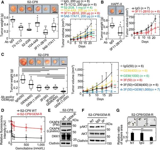 CKAP4, a DKK1 Receptor, Is a Biomarker in Exosomes Derived from ...