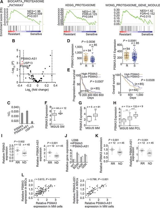 Exosome-Transmitted PSMA3 and PSMA3-AS1 Promote Proteasome Inhibitor ...