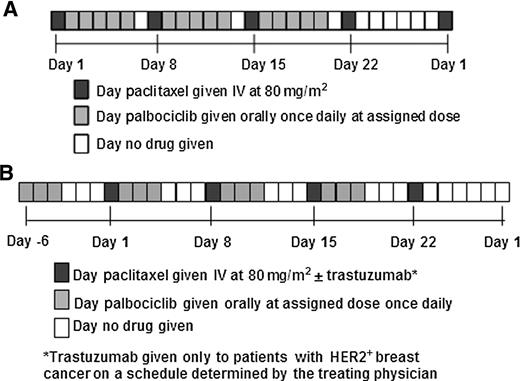 Combination Paclitaxel and Palbociclib: Results of a Phase I Trial in ...