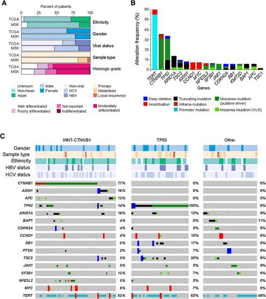 Prospective Genotyping of Hepatocellular Carcinoma: Clinical ...